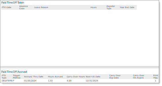 Reviewing PTO Tab Details